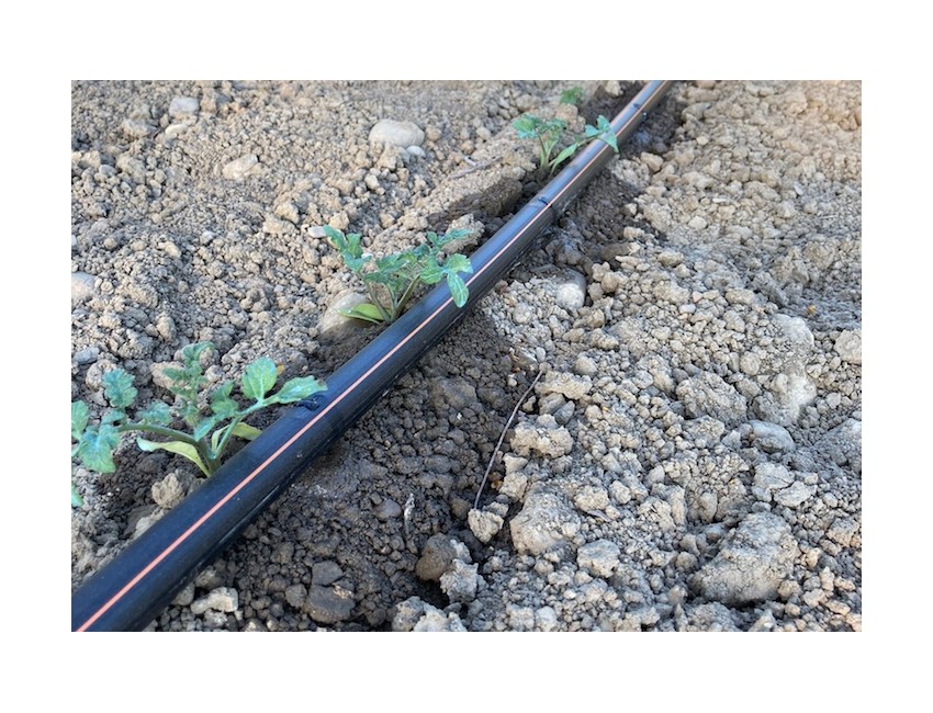 Integral non-self-compensating light dripline - Netafim - Abitare